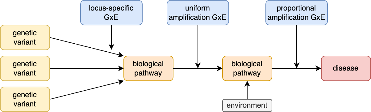 Gene-environment interactions: ubiquitous yet undetectable