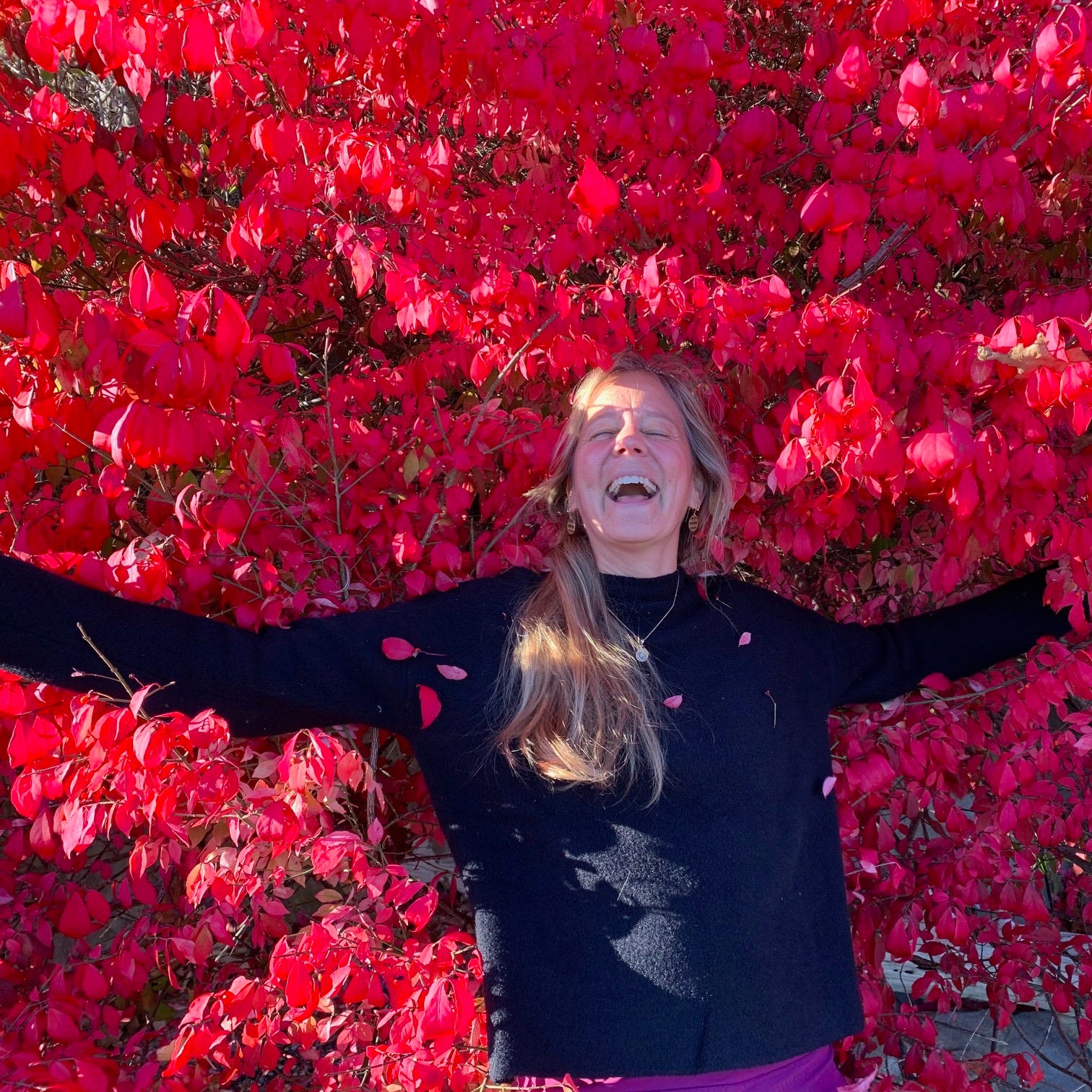 Lydia Maier | Substack