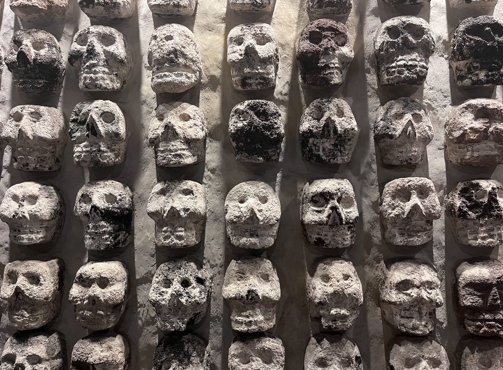 Viva La Vida - by Molly Baskette - Doomsday Dance Party!