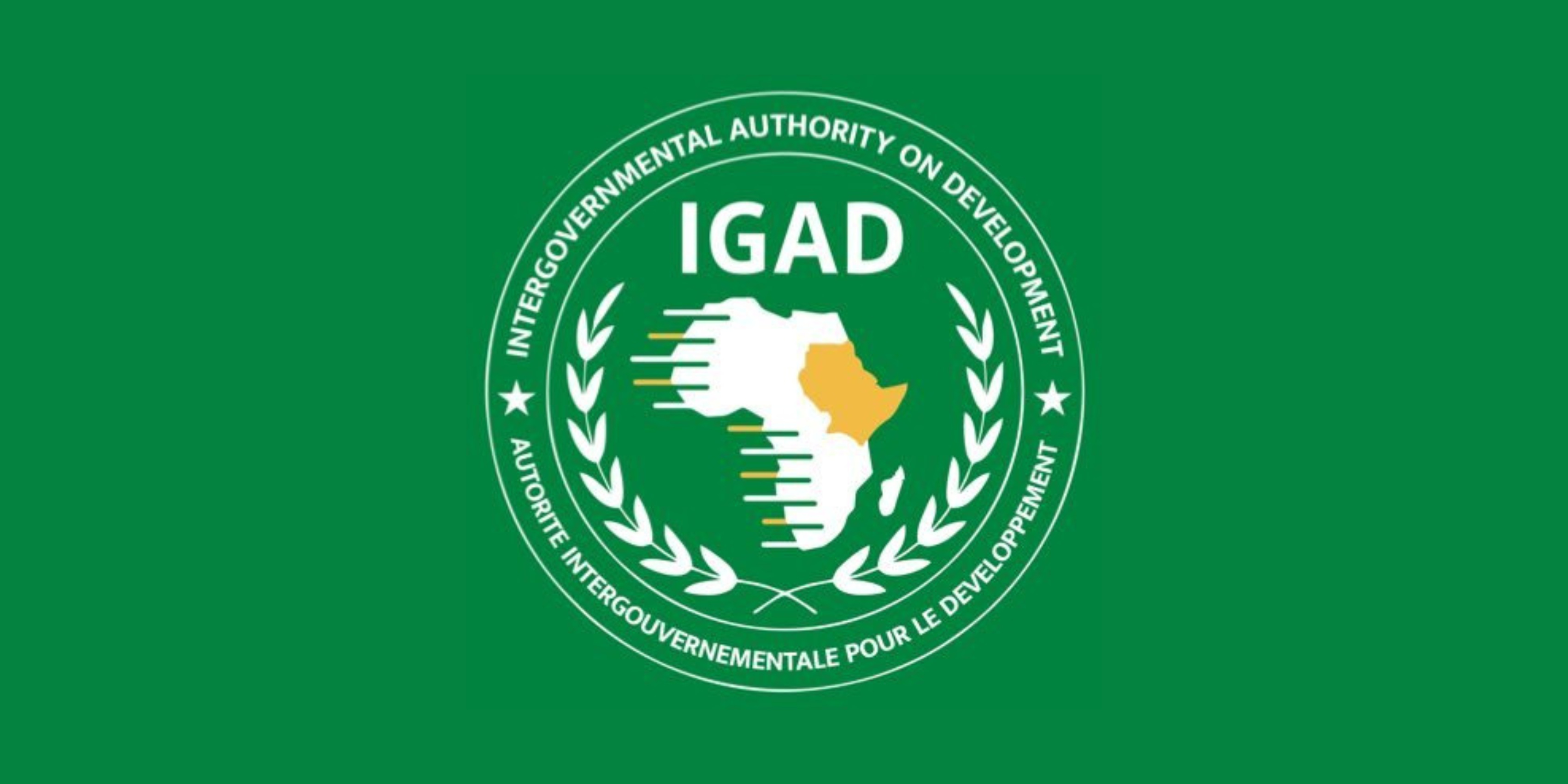 Qué es la IGAD - by Jan Gallemí Albás - África Mundi
