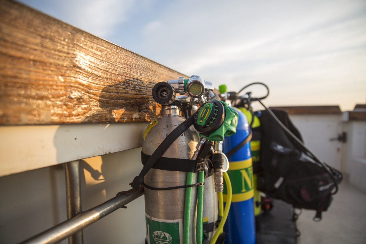 The Daredevil Divers of Wreck Valley - by MaryAlice Parks