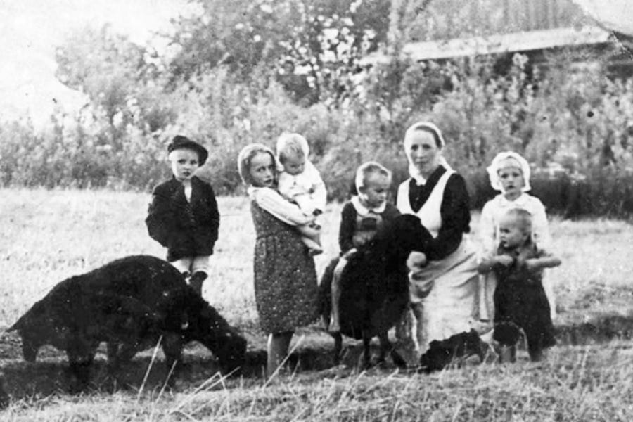 Here's what’s special about the Ulma family beatification