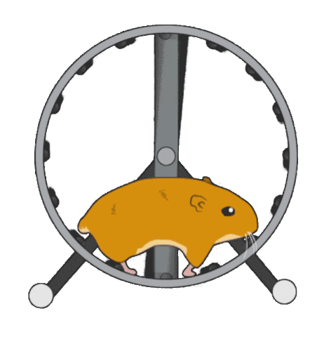 Hamster Running Wheel Gif