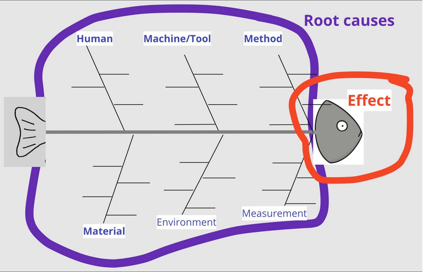 Facilitating a Root Cause Analysis using a Fishbone (Ishikawa) Diagram