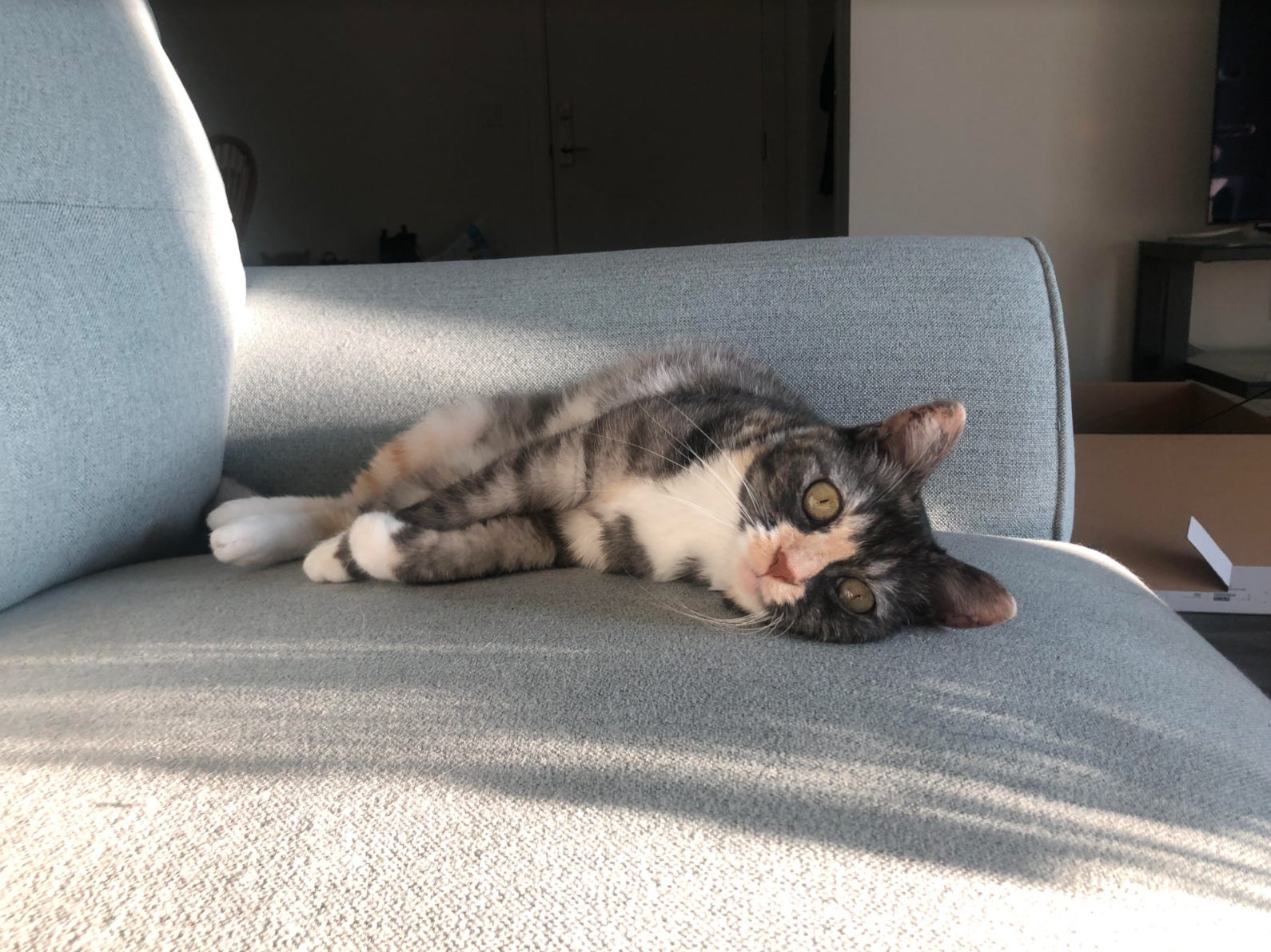 Boeing's big green disaster - by Arielle Samuelson - HEATED