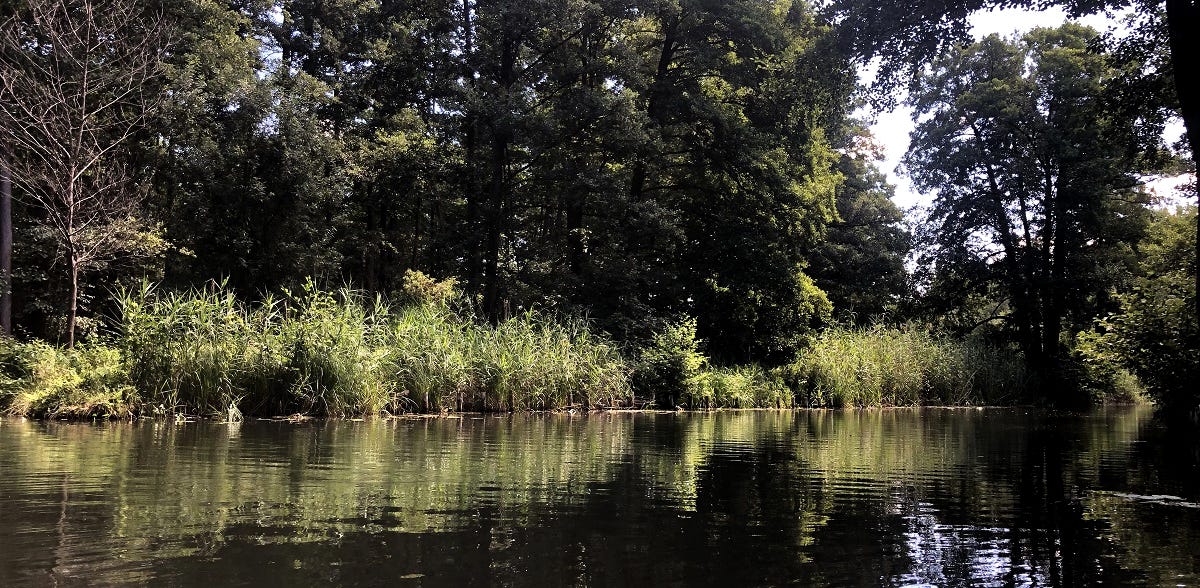 How can you use R to clean up messy spreadsheet data for visualization?