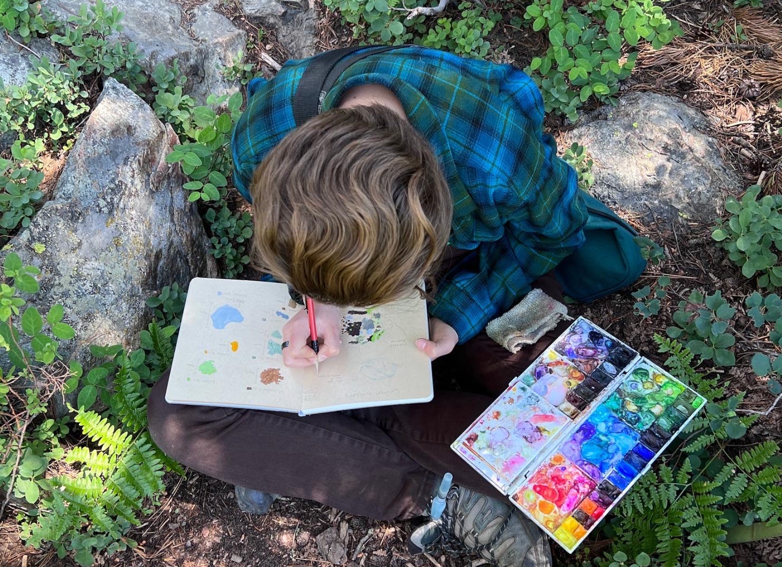 Intro to Nature Journaling - by Wendy MacNaughton