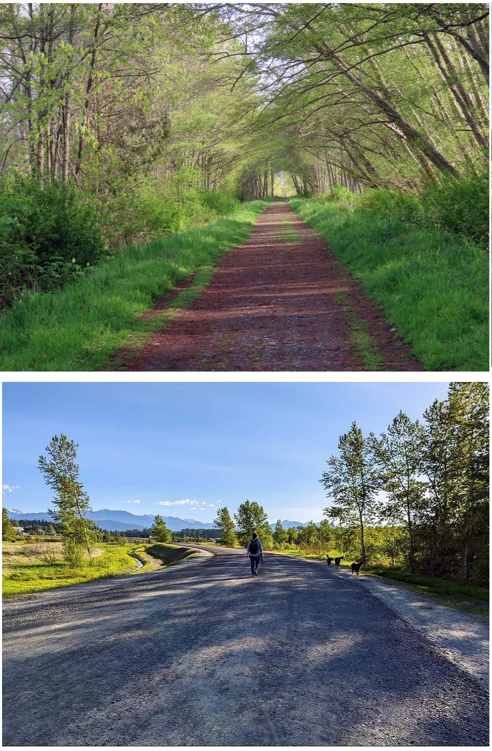 The Four Horsemen come for Towne Road - by Jeff Tozzer