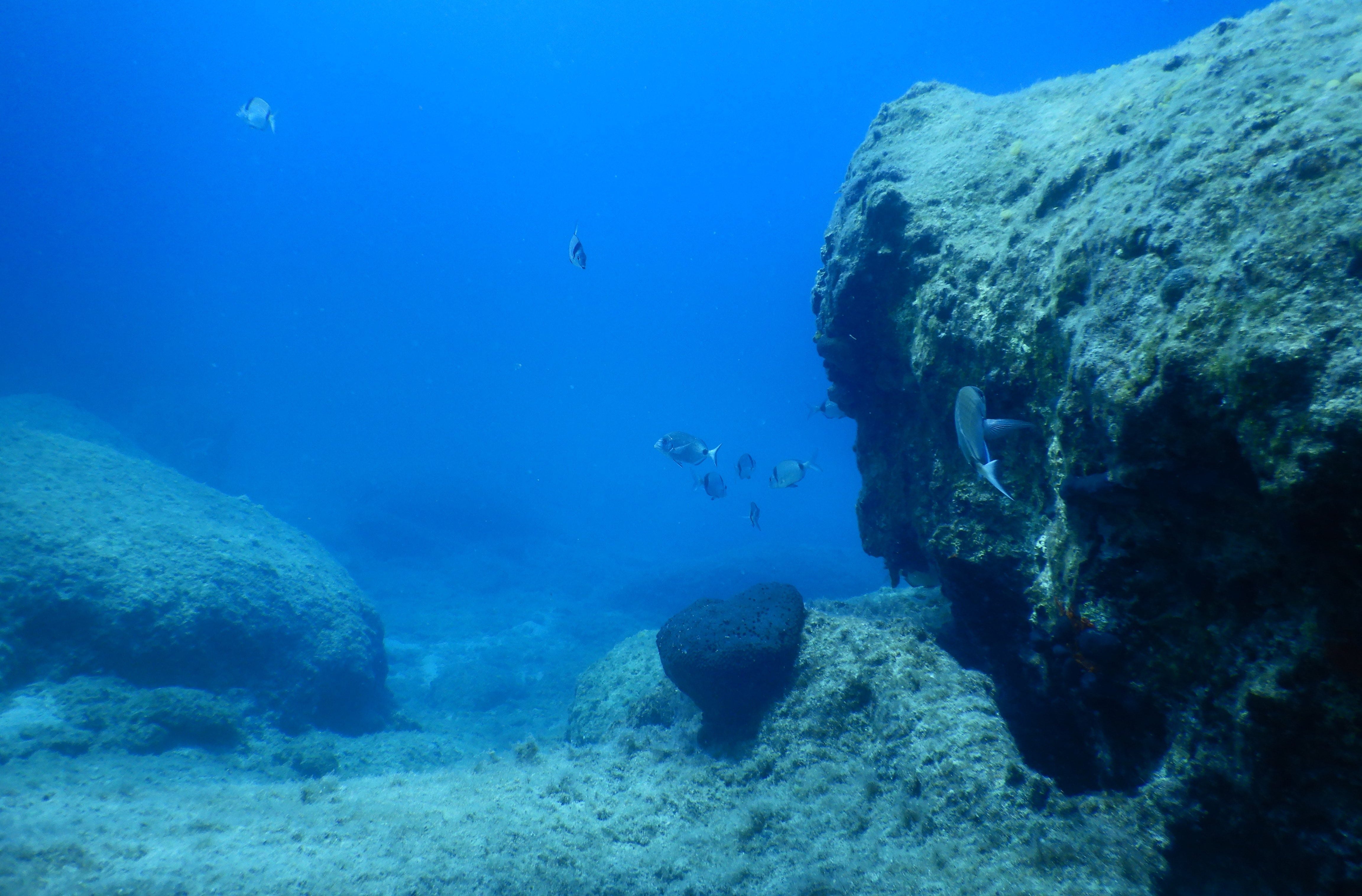 The Island - by Atulya K Bingham - The Nature of Freedom