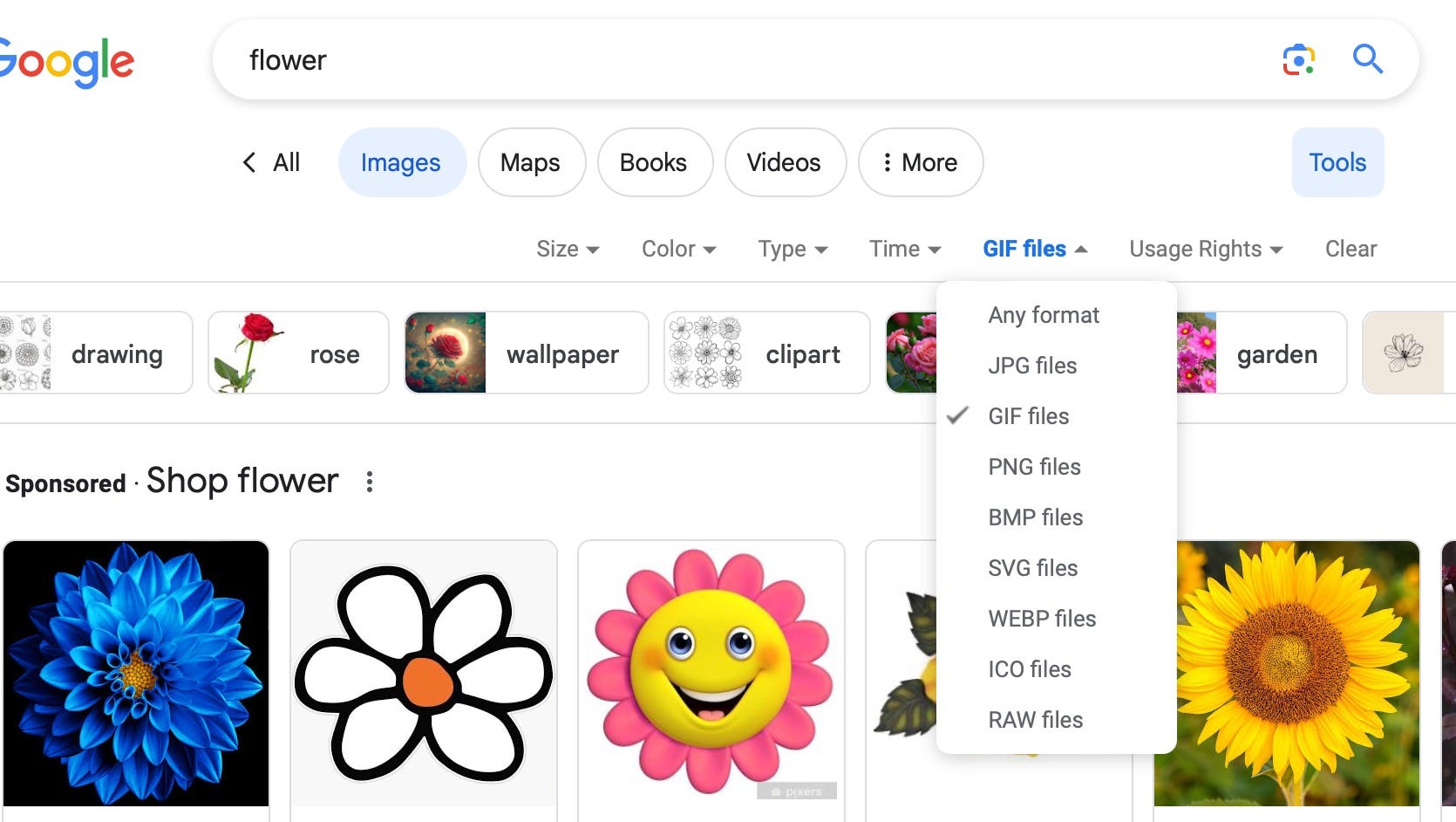 Search alert: Google filetype search is broken. How to fix it?