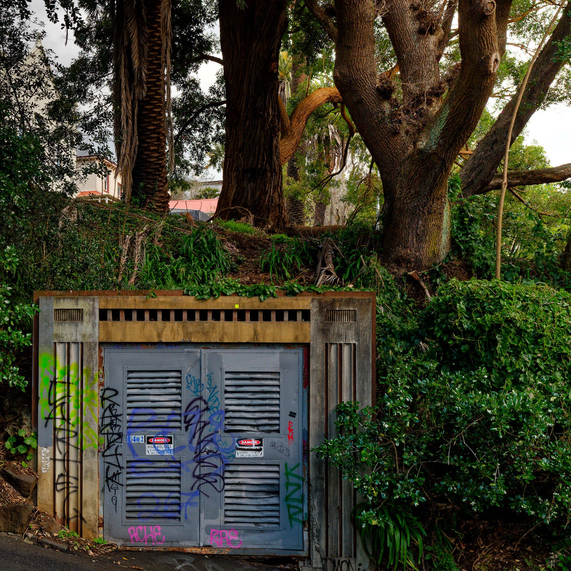 NZ Visual Diary - entry 201 - by Rich Greissman