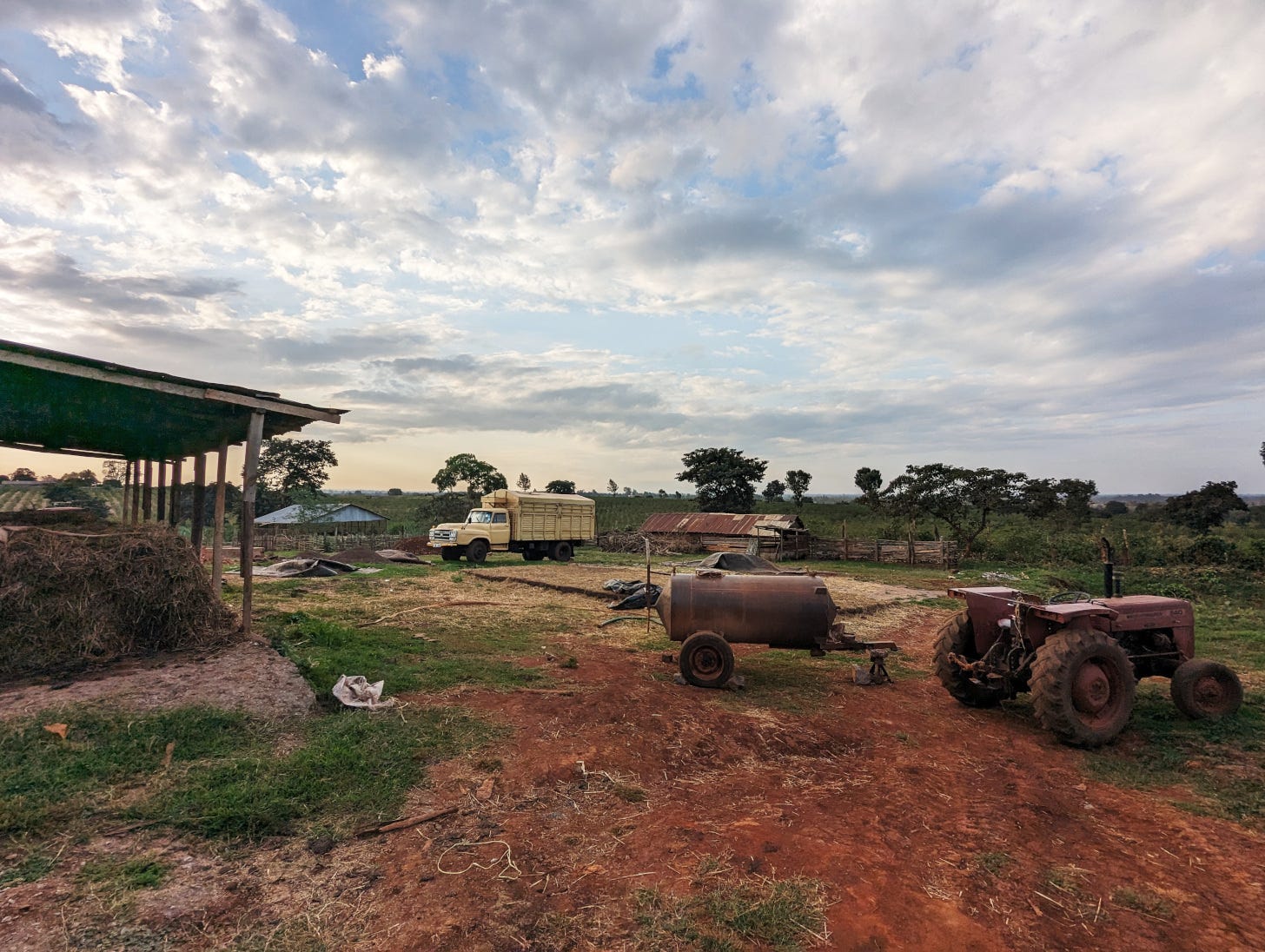 The mushrooming potential of Kenya’s fungi farms