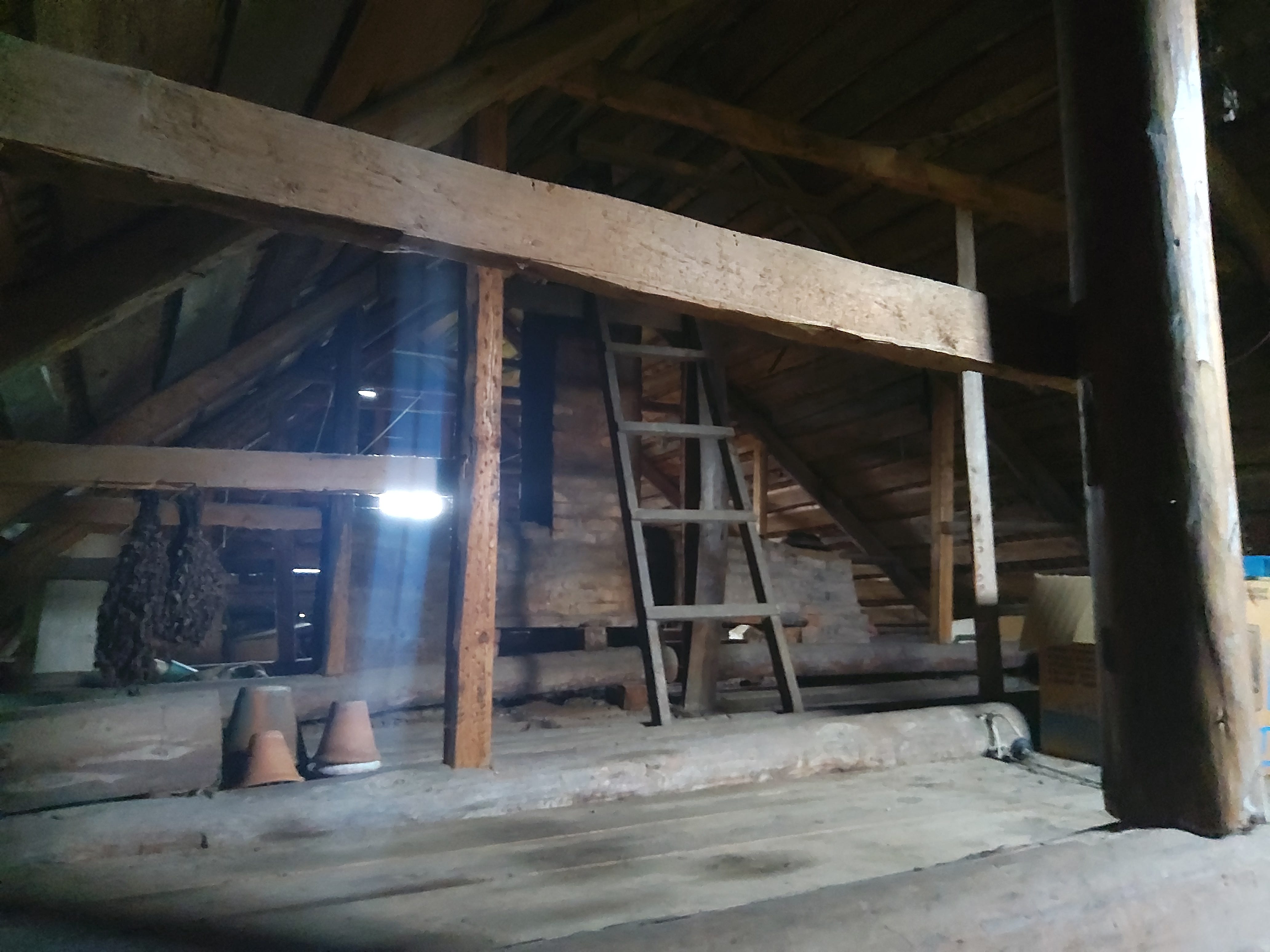 Take a tour of Edward's country manor - Edward Slavsquat