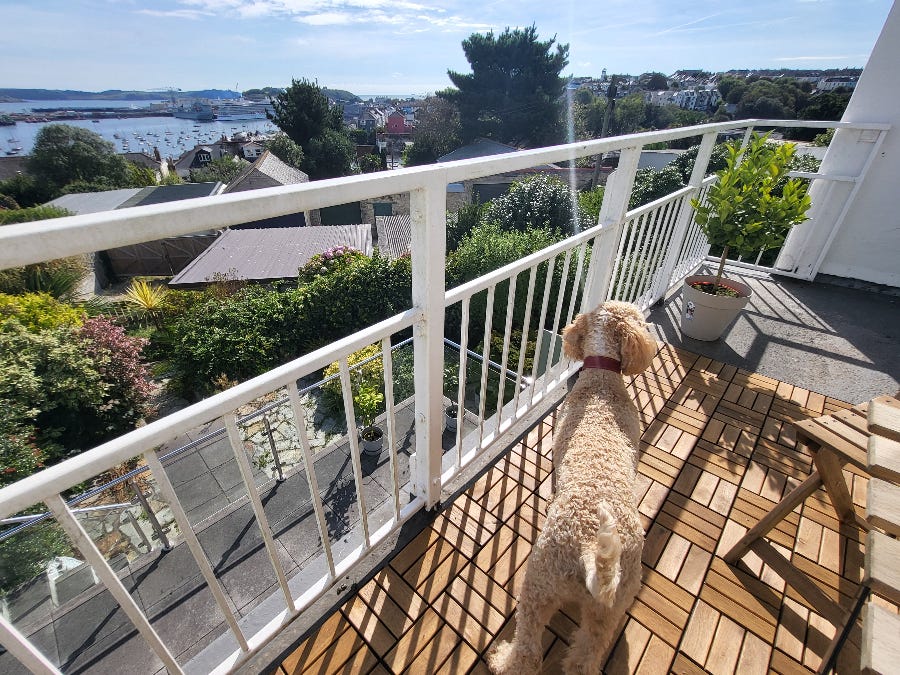 The Thick of It’s Ian Martin on the trouble with Starmer