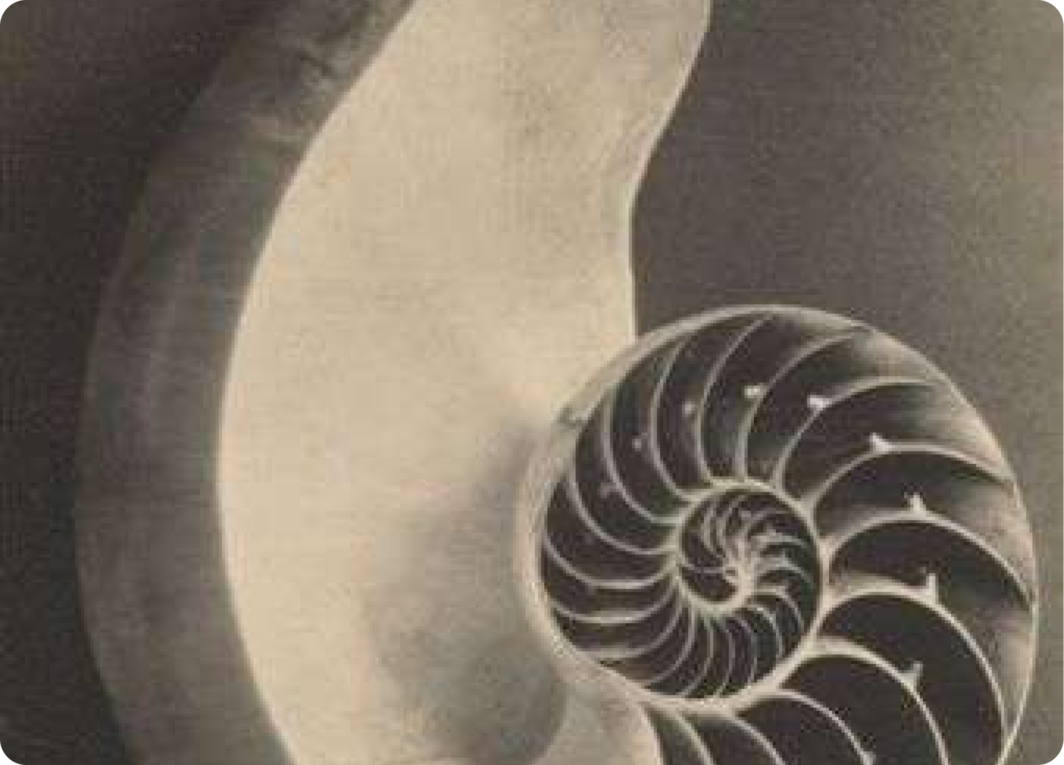 WORKWORK20: Patterns and Cycles Lead to Growth // MKT1, a Favorite ...