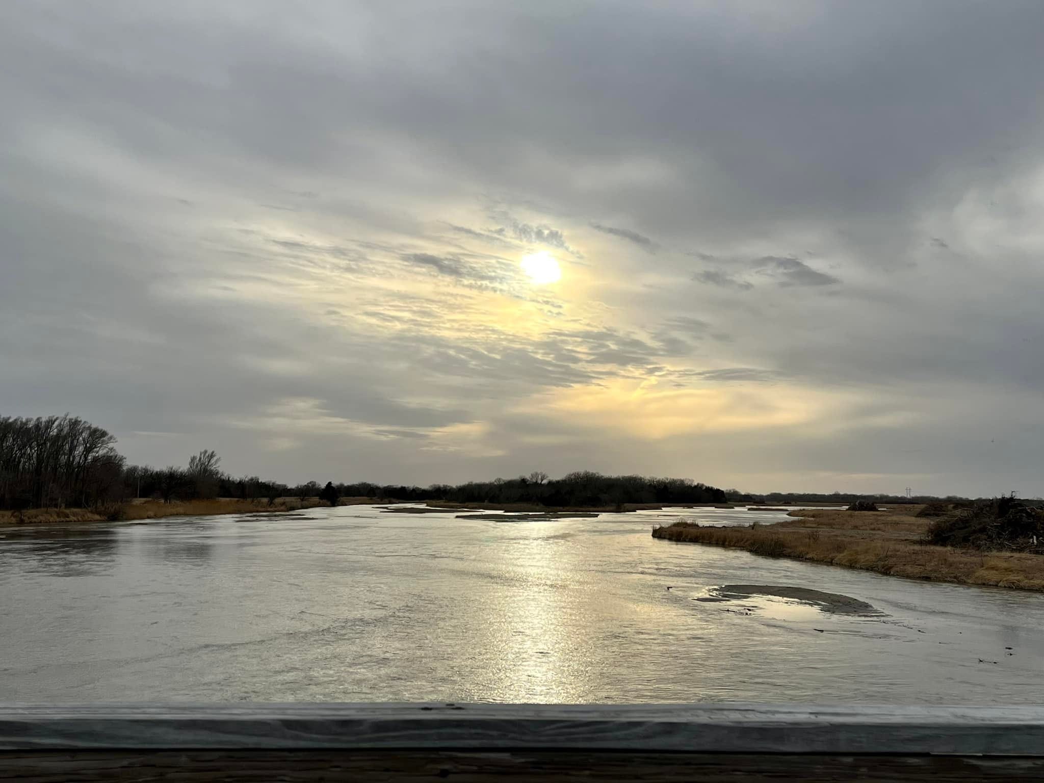 The Magical Mystery of Sandhill Cranes - by Deb Sinness