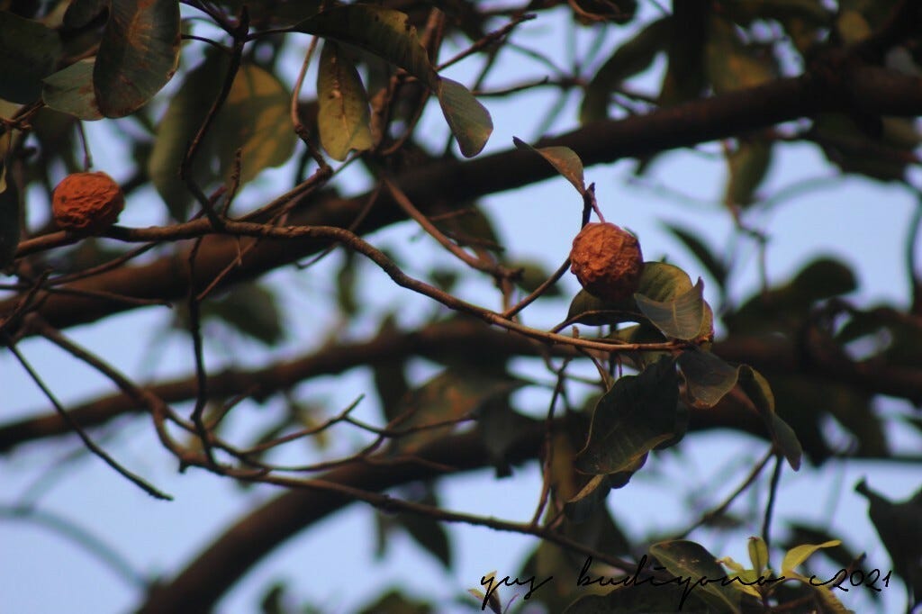 Berapa yang harus dibayar? - by Yus Budiyono, PhD