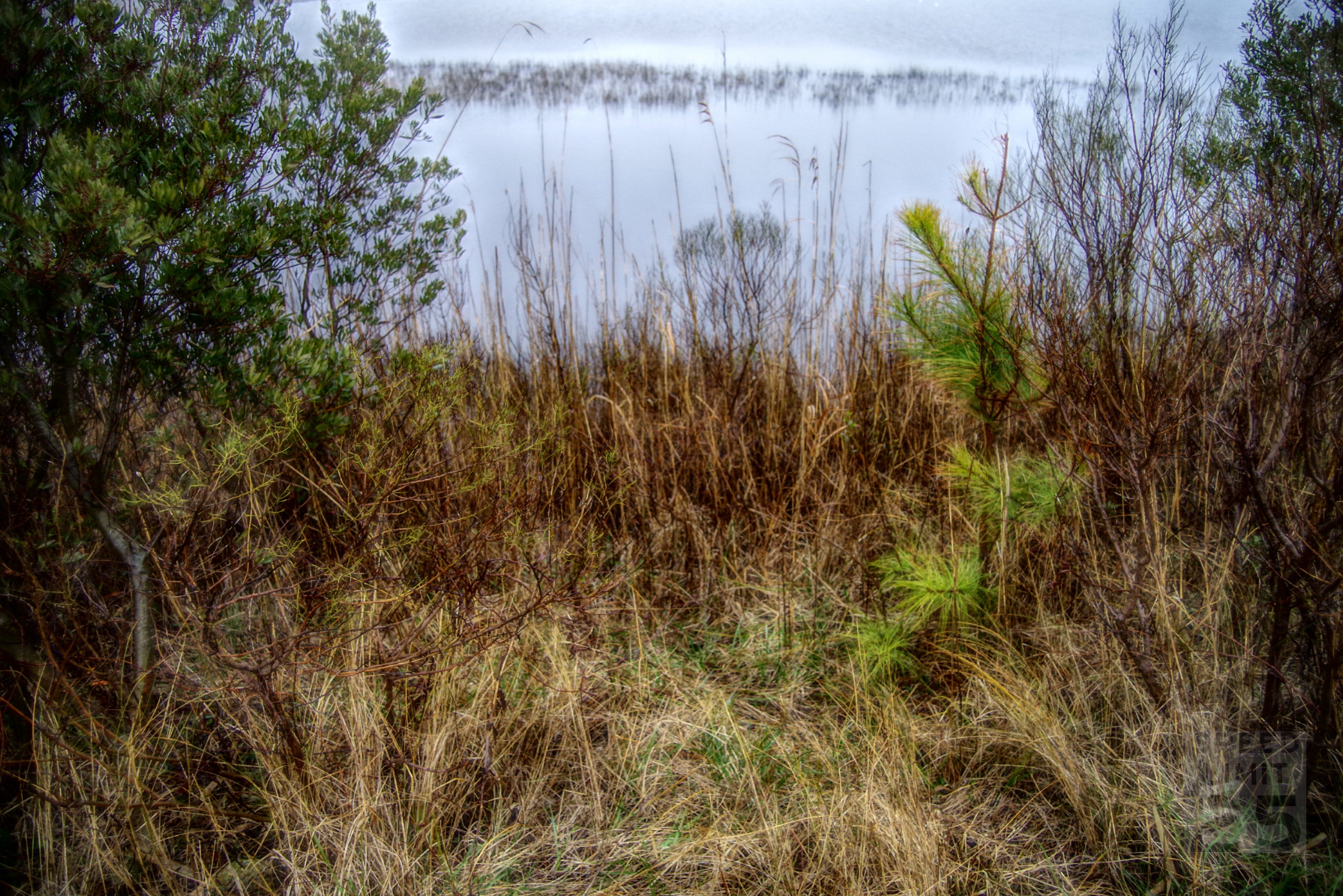 Come for the Ponies, Stay for the Ice Cream