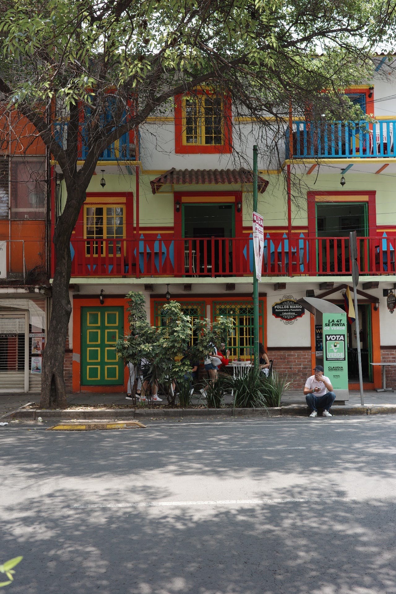 an ode citrus season (in mexico!) - by Chloe Walsh