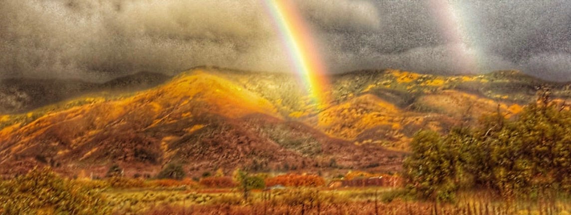 100 % Fall… - Papadas’s Substack