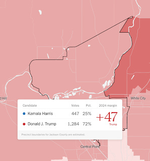 An extremely detailed map of the 2024 election