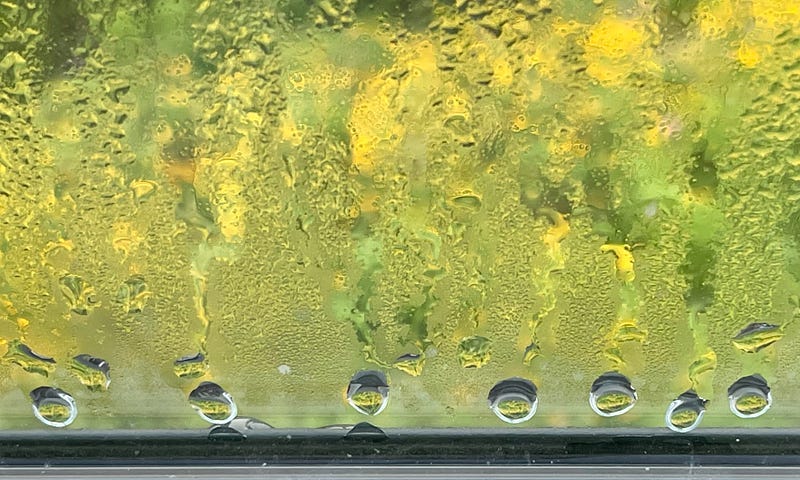 Seven - by Dawn Epstein - Blue Cormorant’s Substack