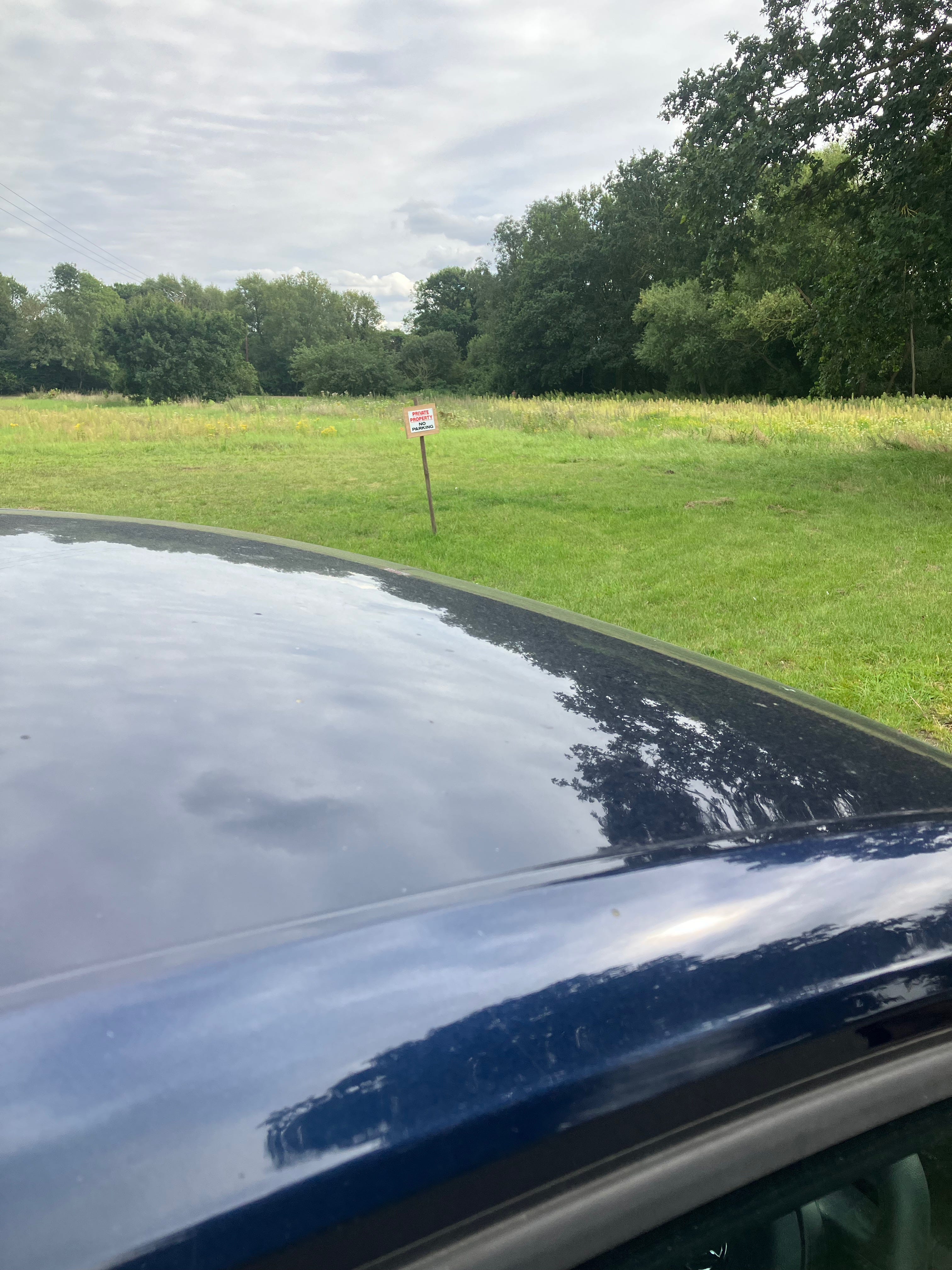 Say yes to heaven - Marple’s Substack