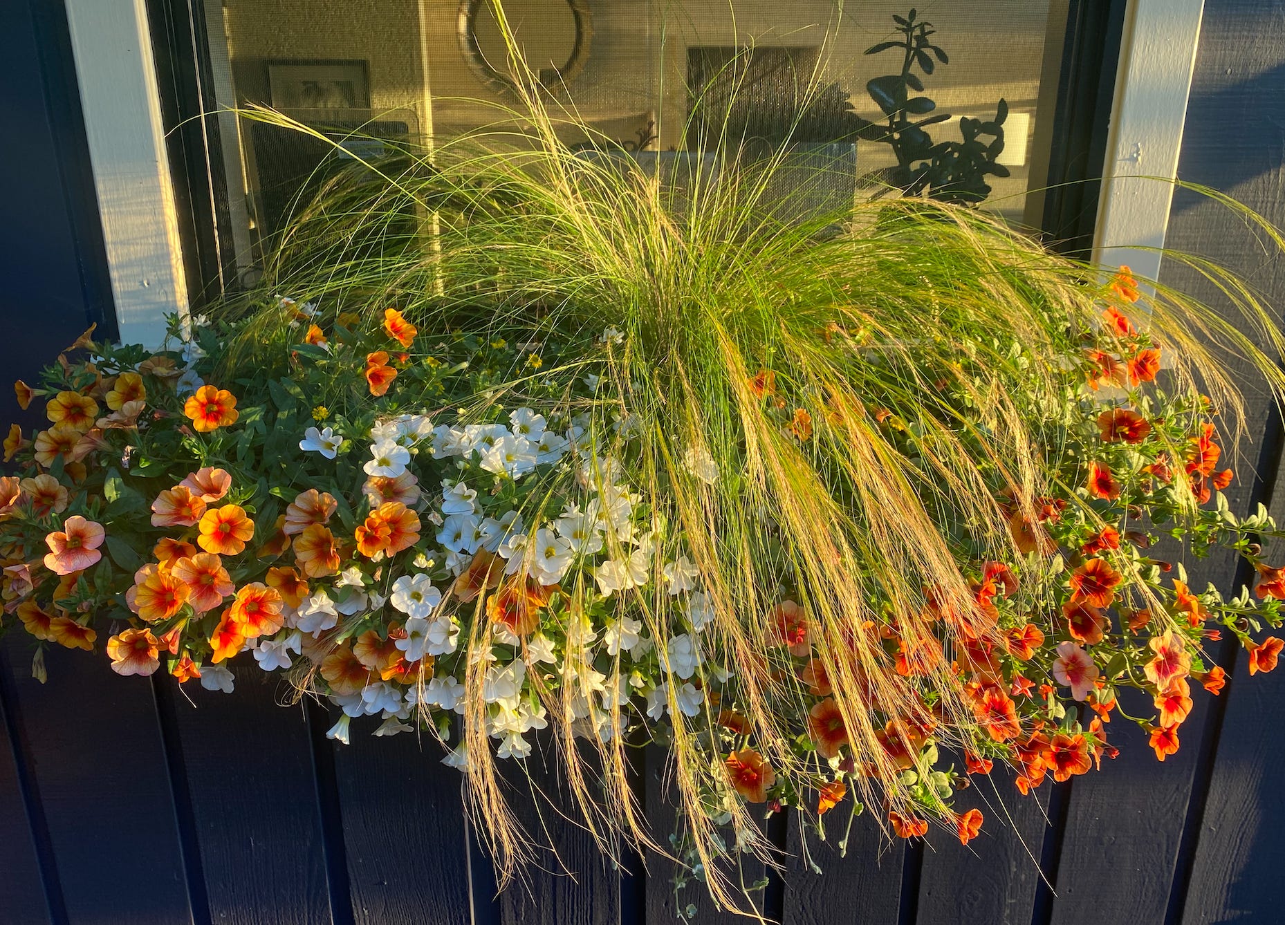 Container Gardening Explained, Pt. 1