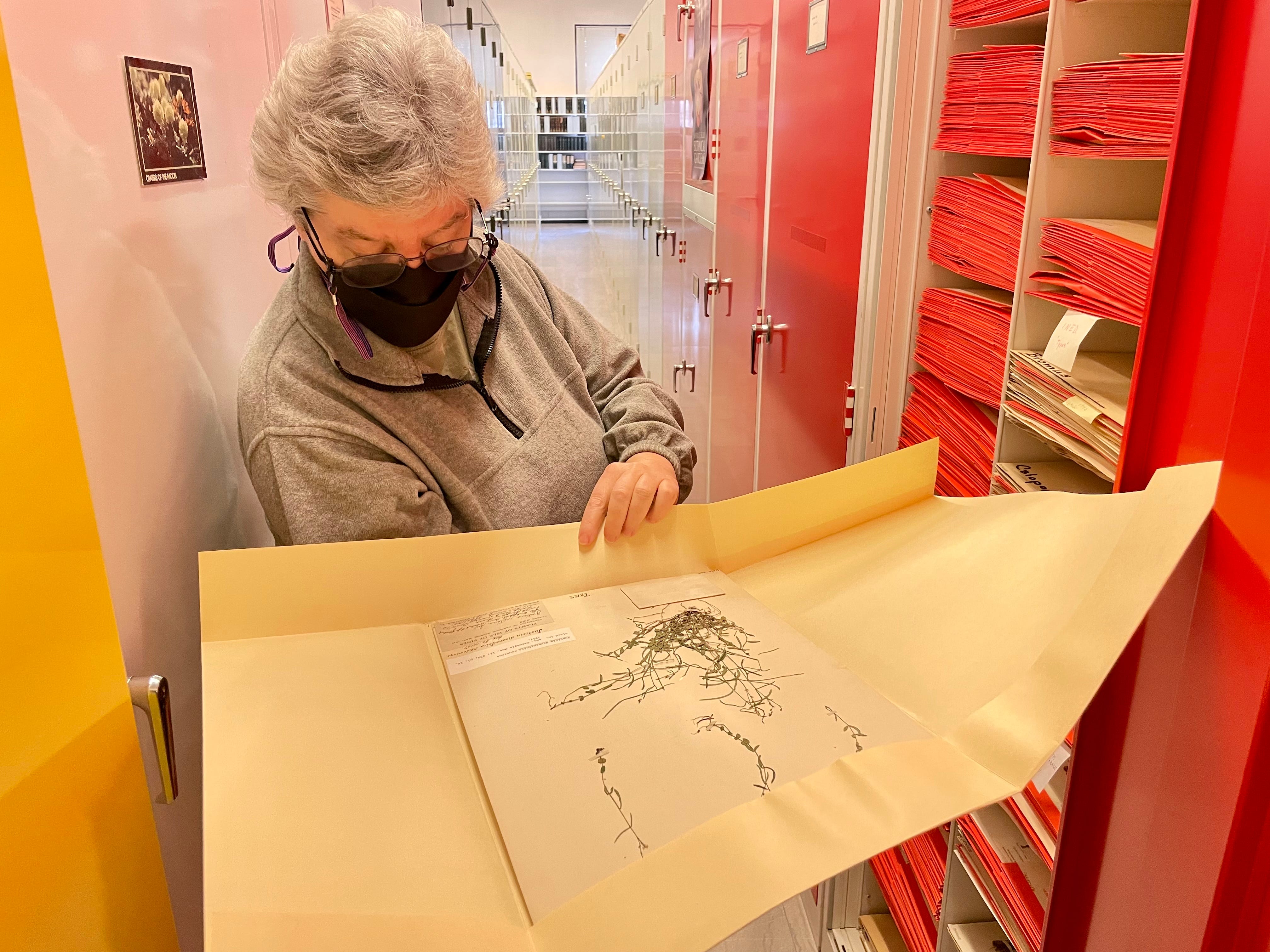 Meet the Indiana Jones of Pennsylvania Botany