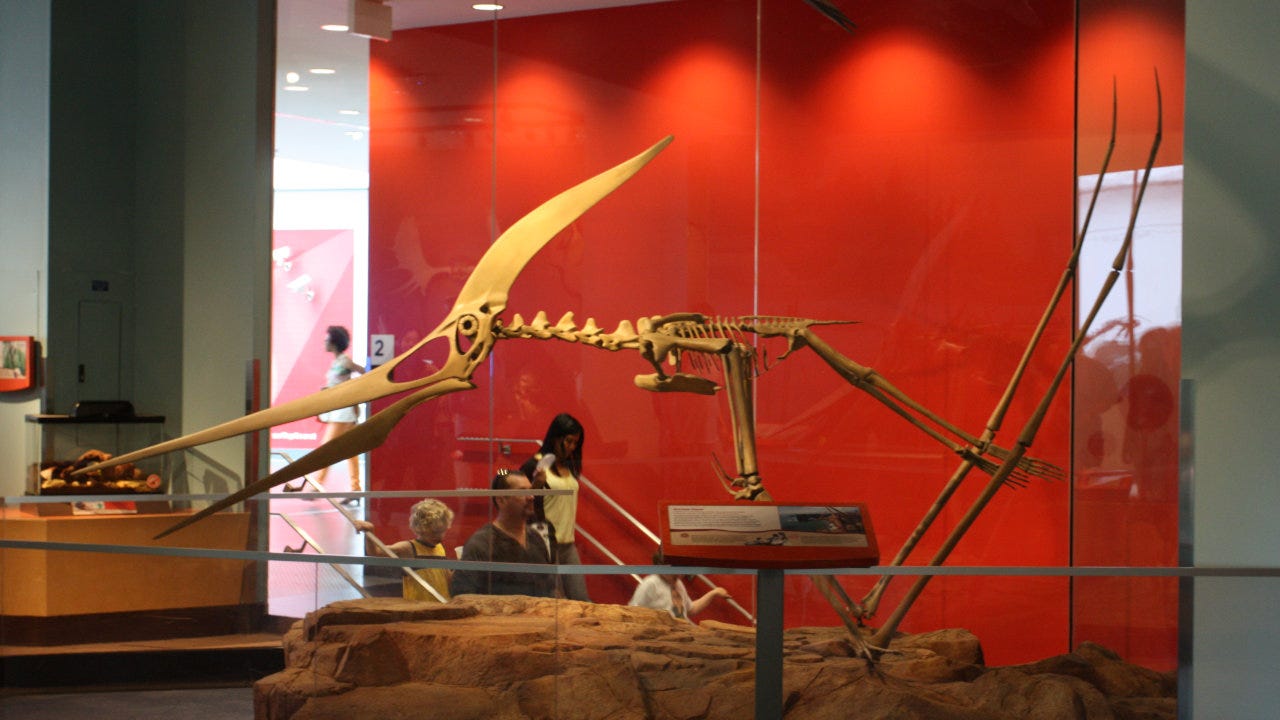 Interview: Tony Grasso (Part 2) - Skeleton Code Machine