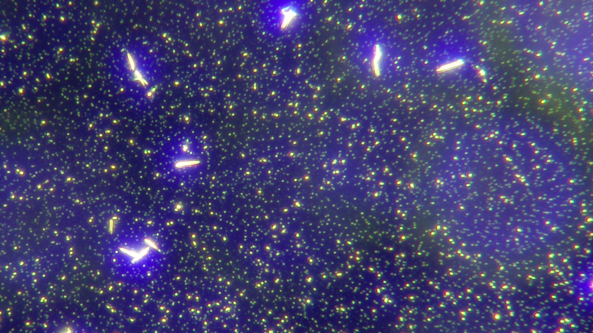 Coke, Pepsi, Evian, Fiji Water, Coconut Water & a Steak under the ...