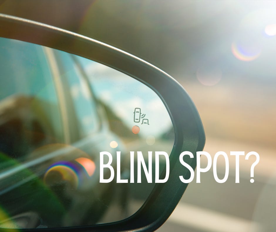 Blind Spot 2024? - by Lindy Flynn - Lindy’s Substack