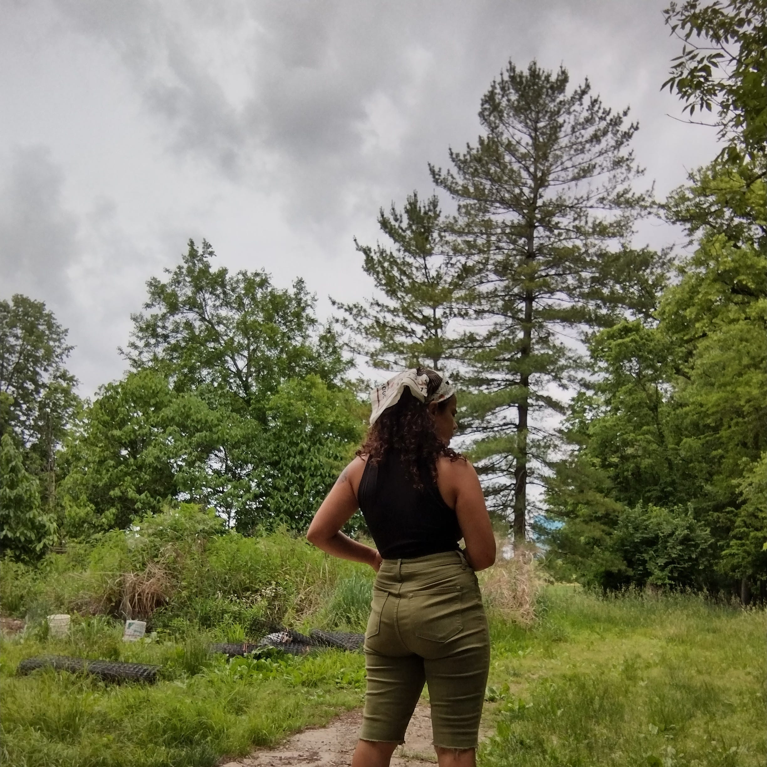 Iron.River.Otter | Substack