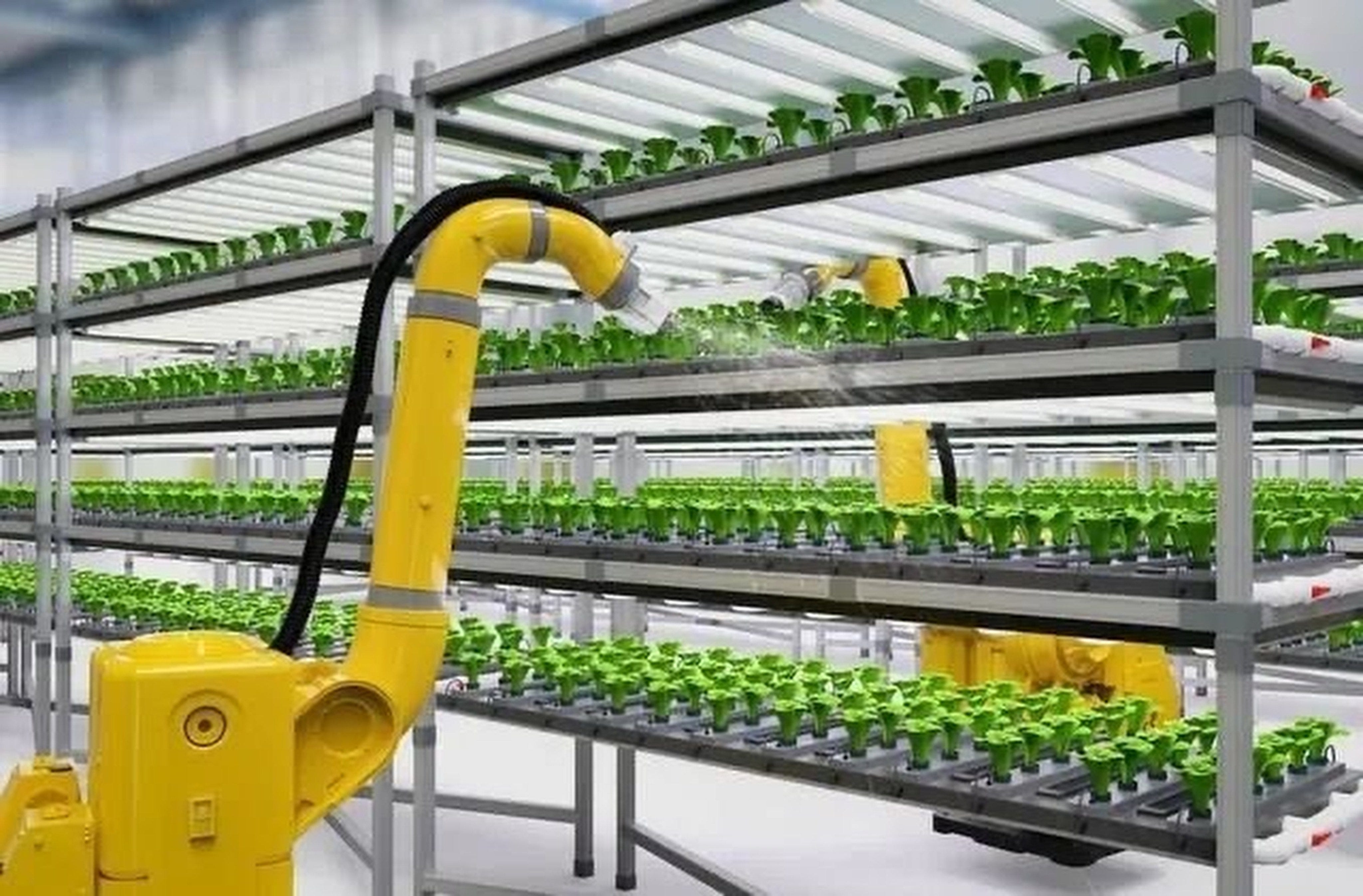 Can A.I. Automate Vertical Farming? - by Michael Spencer