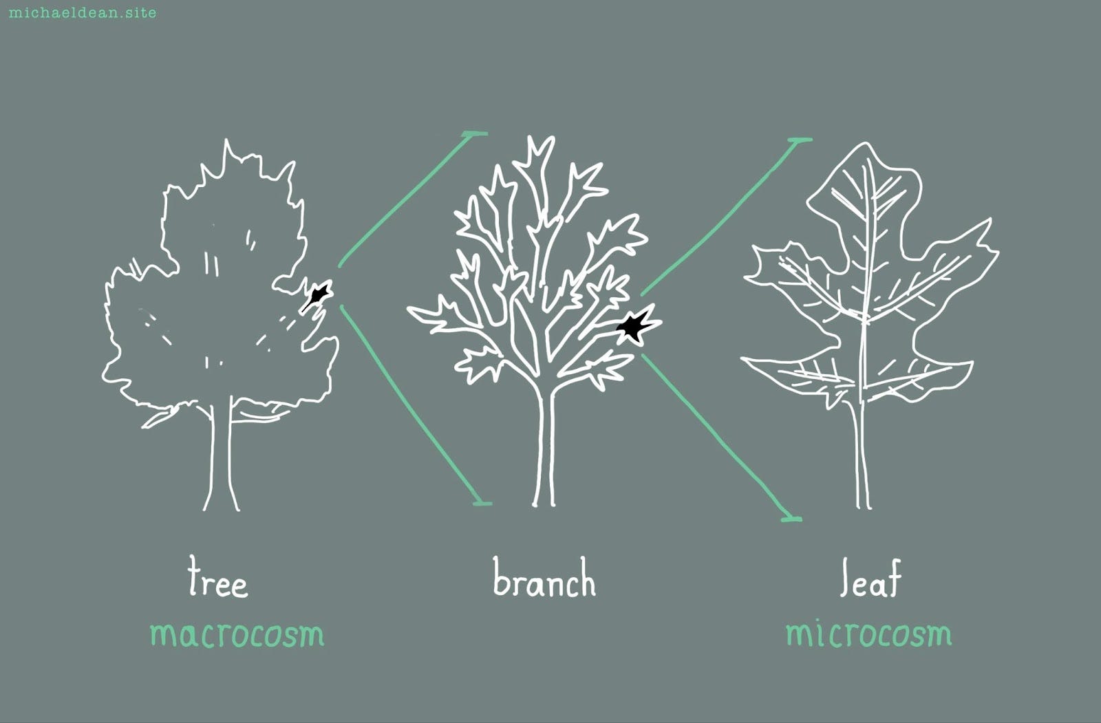 Microcosm - by Michael Dean - Essay Architecture