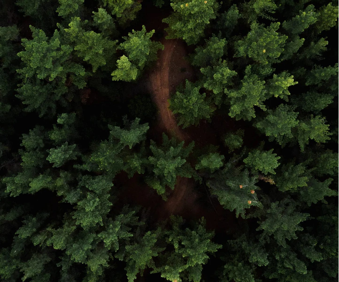 CHAPTER 12: A Moving Mosaic - by T.H. PLATT