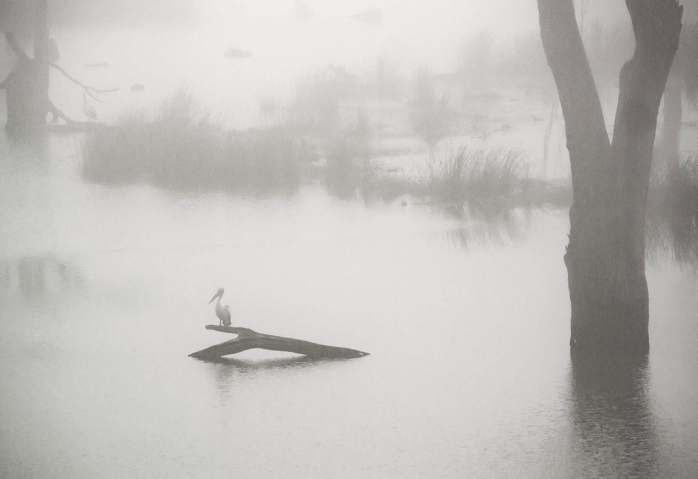 How it Works - Part 1: Carrying the message