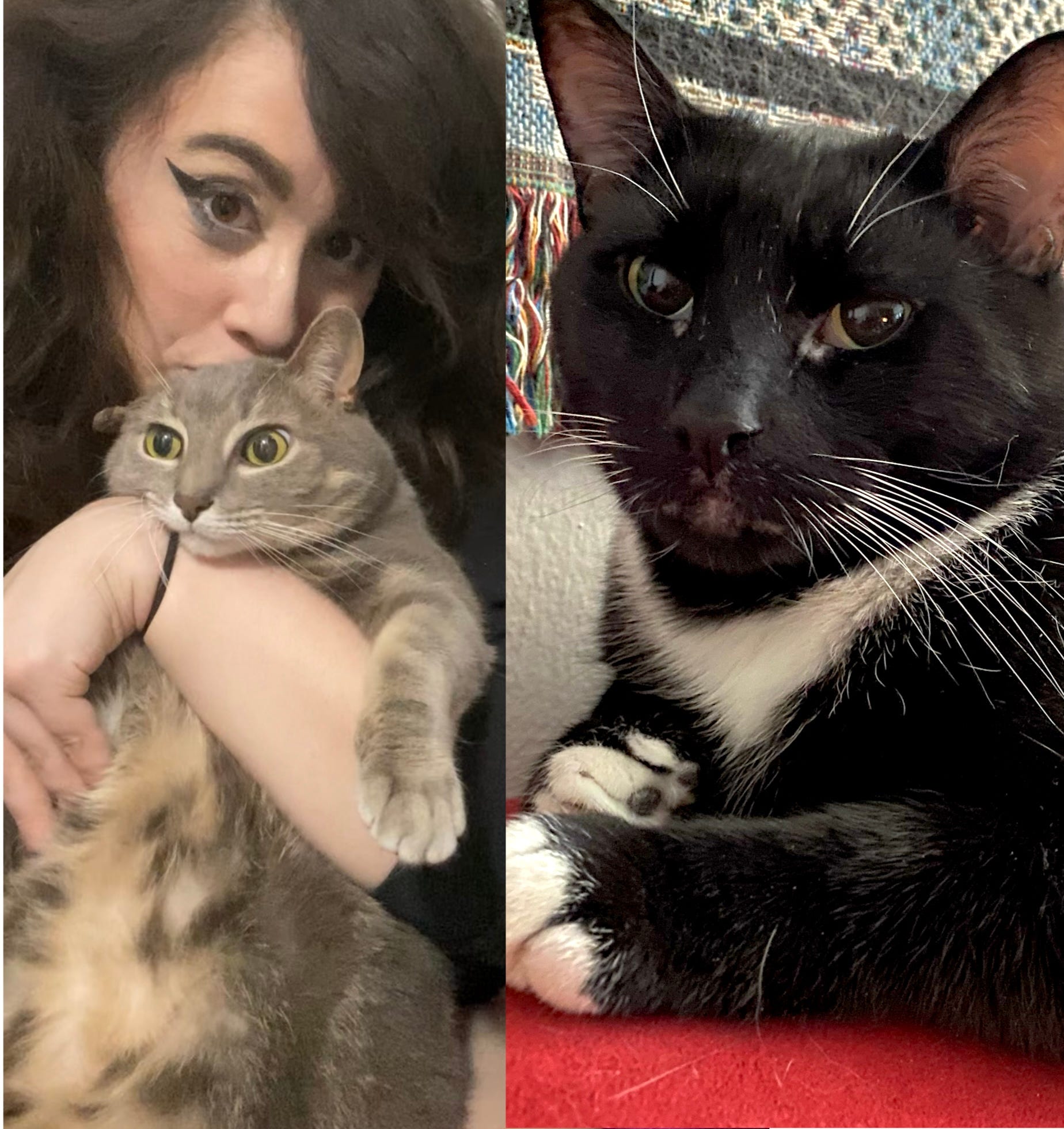 54. The Week in Me - by Tara Giancaspro