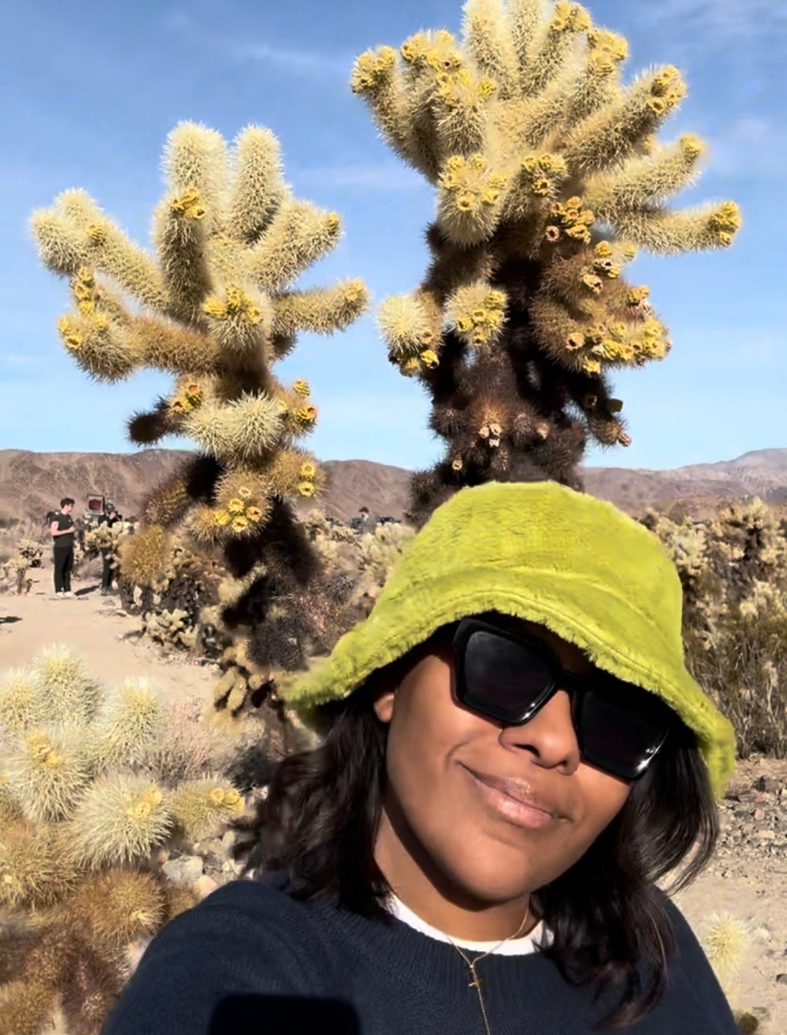 Birthday-versary + Help Alberto + Cyber Truck Recalls + Hillside Villas ...