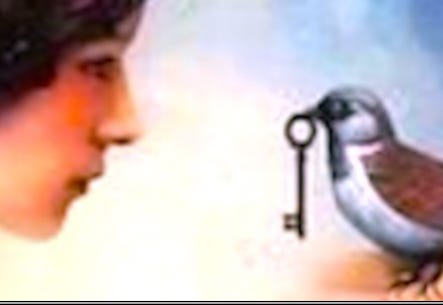 Pippa Oona | Substack