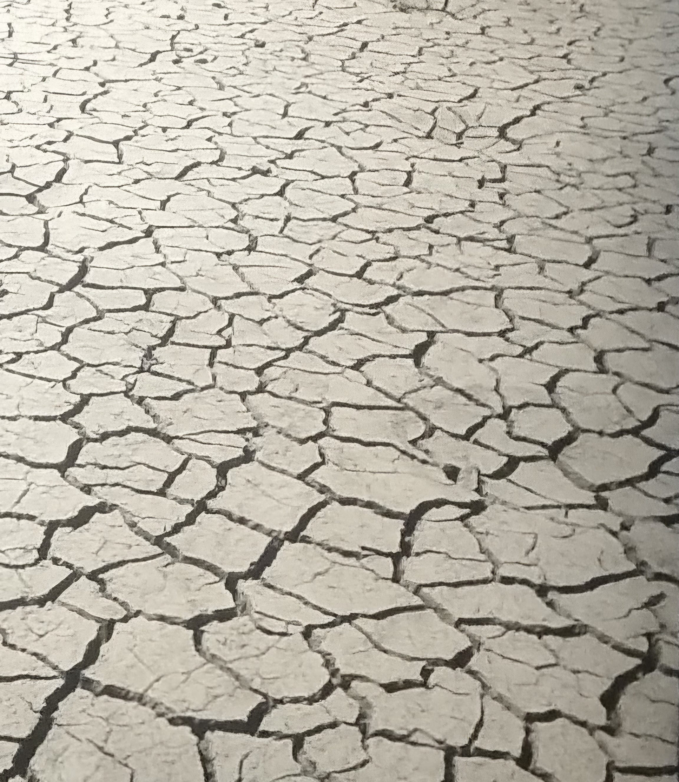 Demenze - by Monica Parodi - Il Substack di Monica