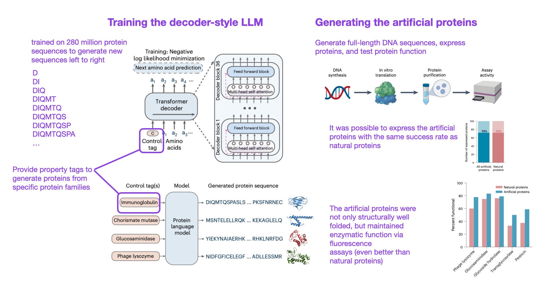 RevAIval of Ideas: From Next-Generation Convolutional Neural Networks ...