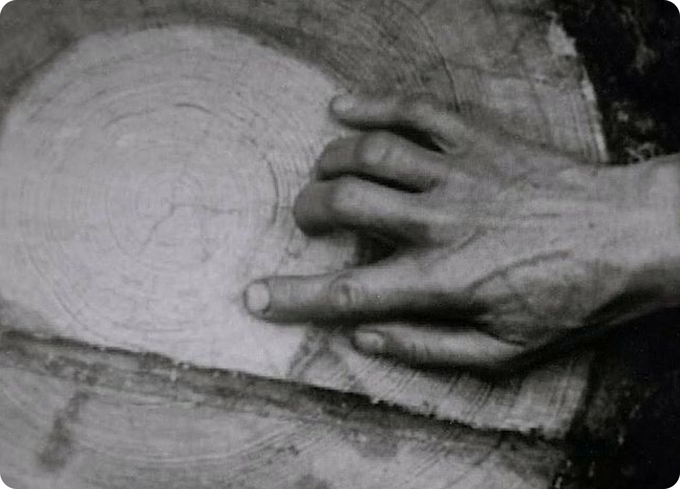 WORKWORK32: There is Time for Everything - by Erin Falter