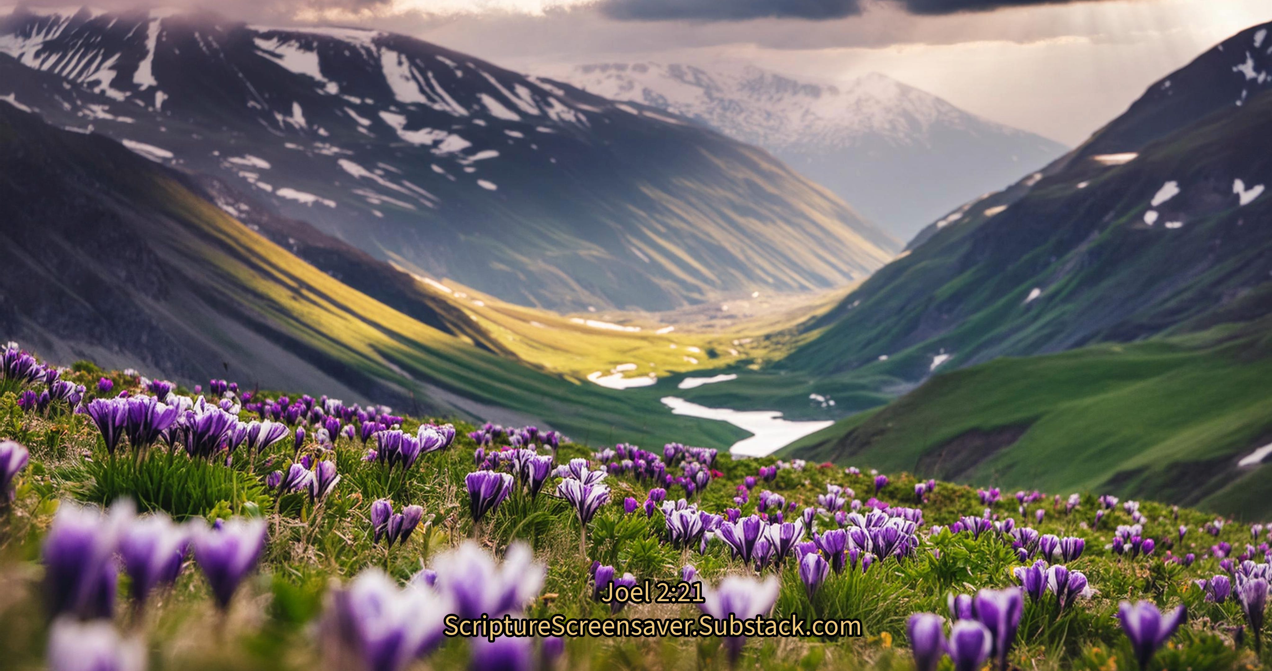 Our Father... - Scripture Screensaver