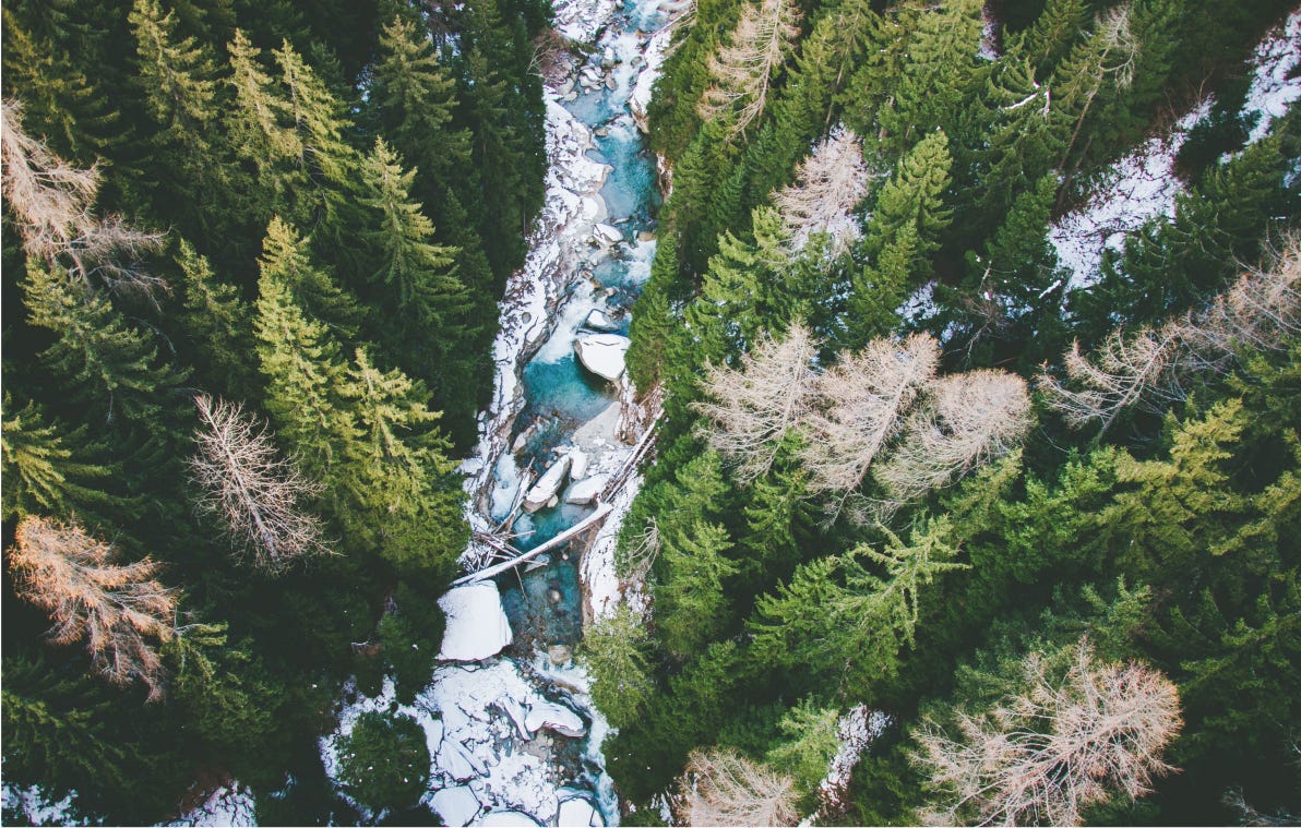 Earth Systems Investing - by Jason W. Ingle