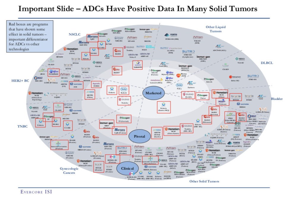 Epoch 19: ANTIBODY DRUG CONJUGATES (ADCs)