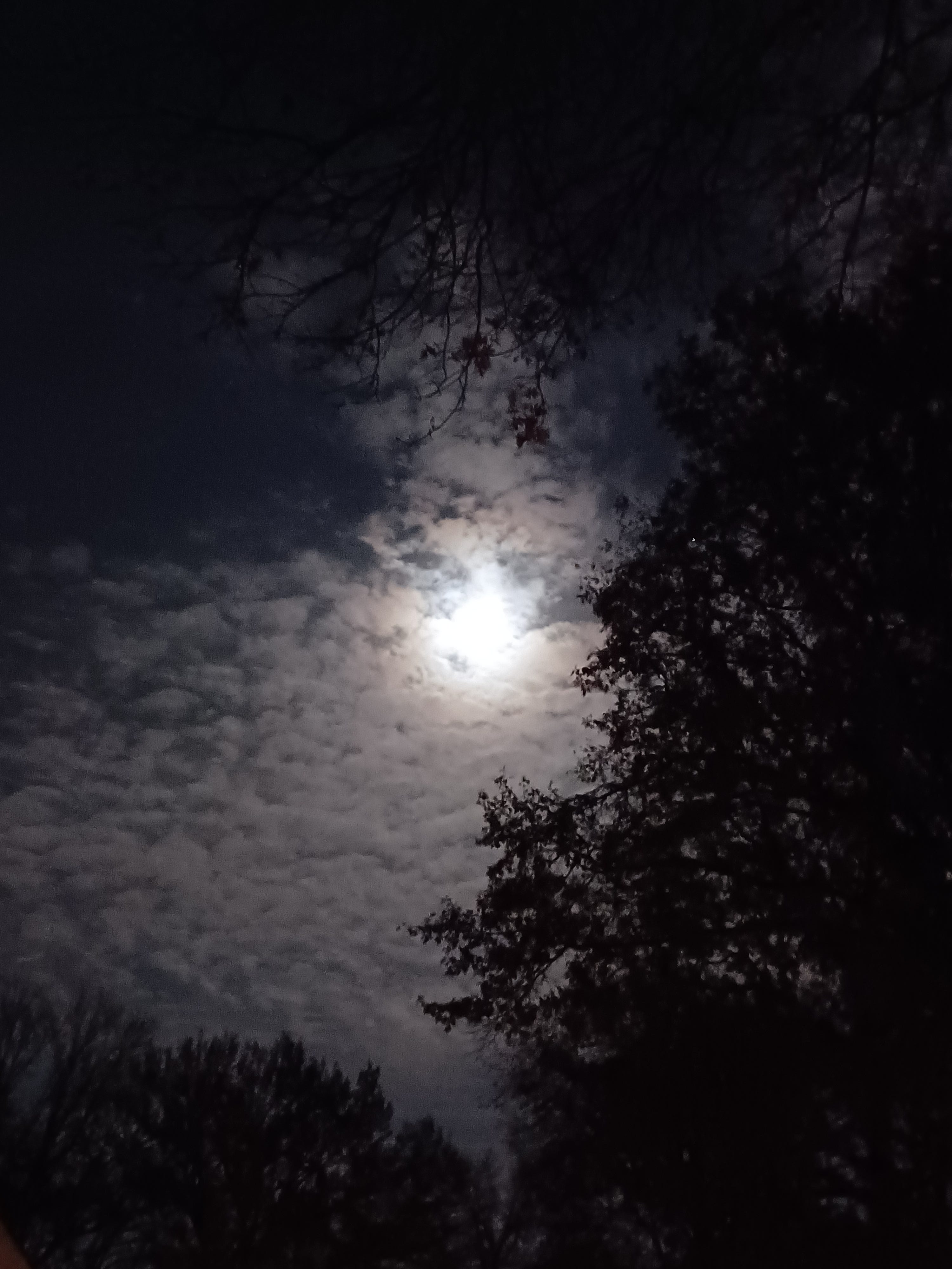 The Mourning Moon - Sarah Kendzior’s Newsletter