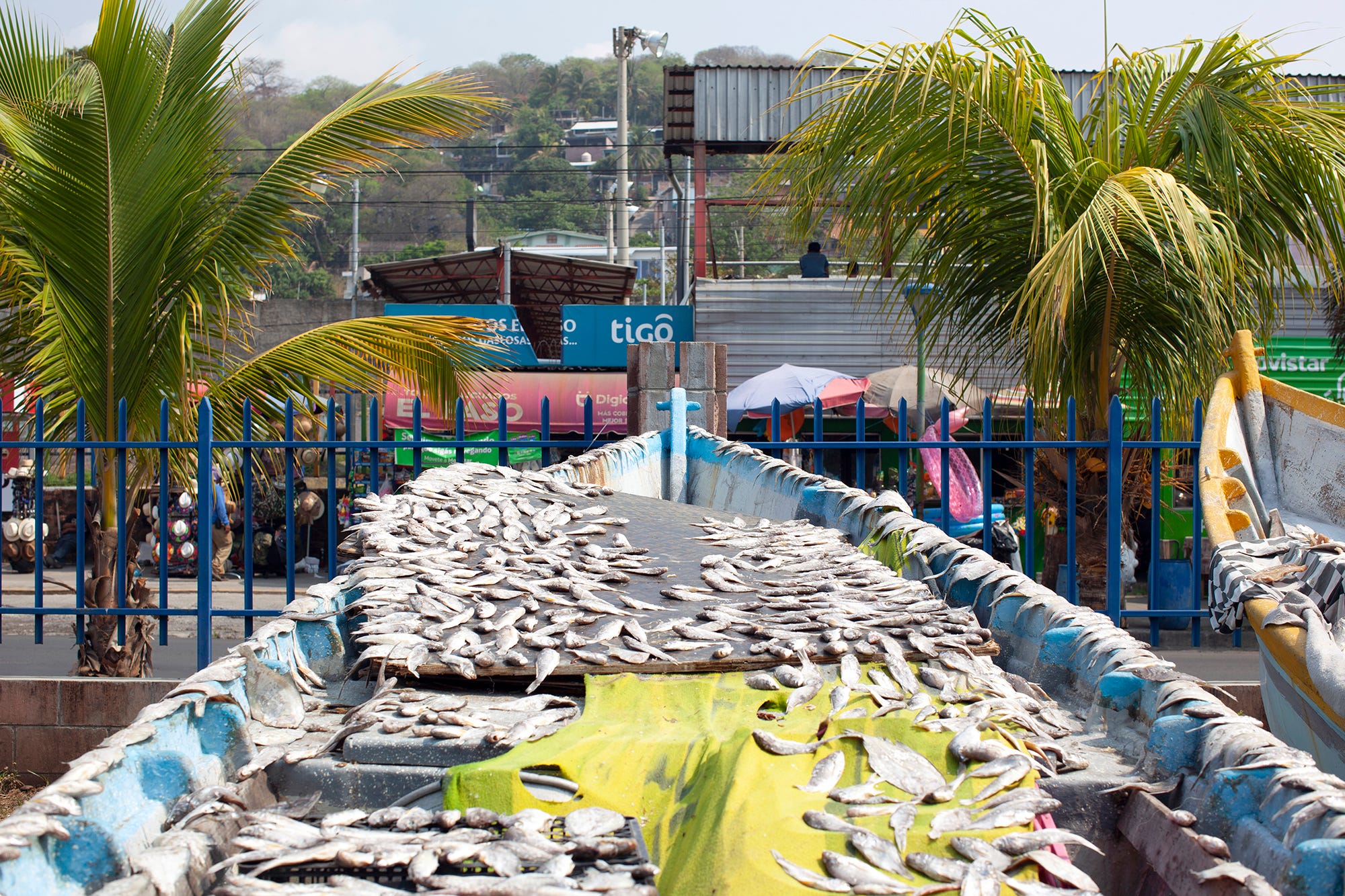 The Salvadoran Coast - by Nicholas Gill - New Worlder