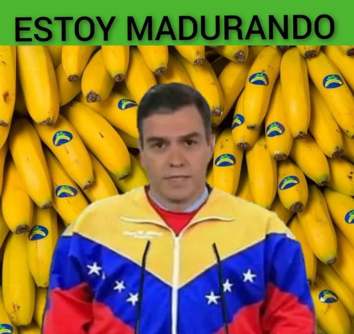 Sanchez SE QUEDA, memes del Perro Sanxe, versiones cantadas de la carta...