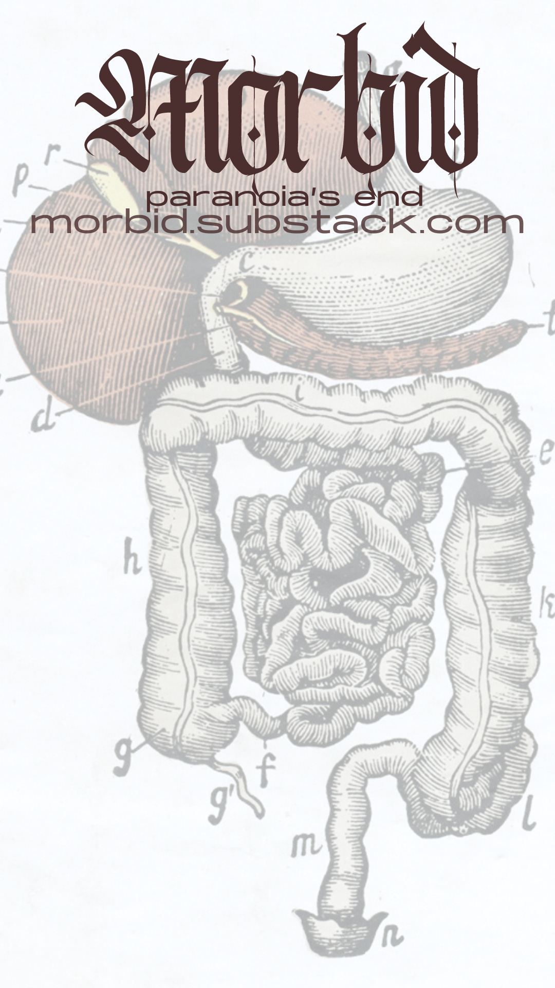 the morbs viii: paranoia's end - by Tara McGowan-Ross